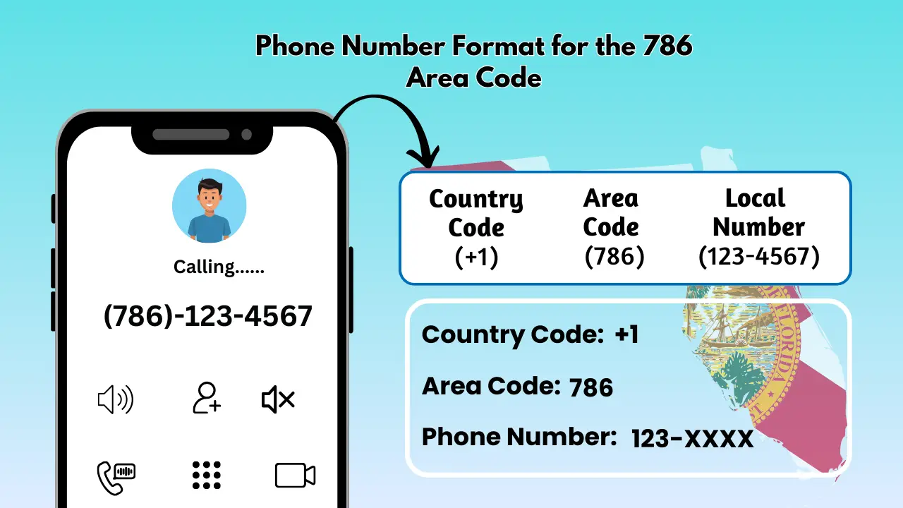 786 Alan Kodu: Miami ve Florida Keys'e Açılan İşletme Kapınız