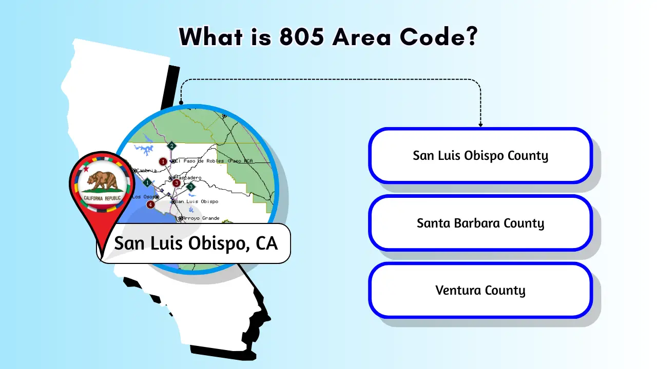 805 Area Code: Guide to Local Business in CA | Central Coast